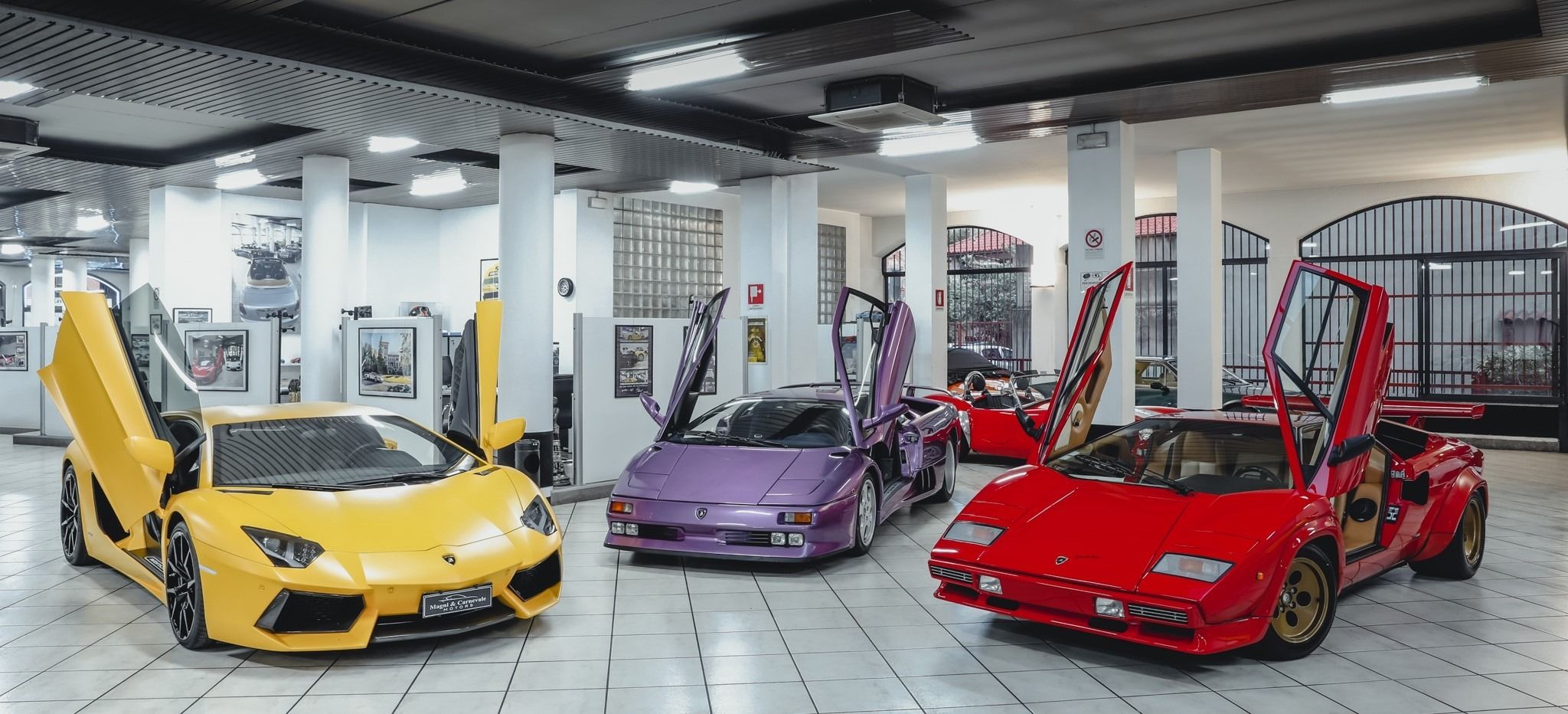 Home - Magni & Carnevale Motors