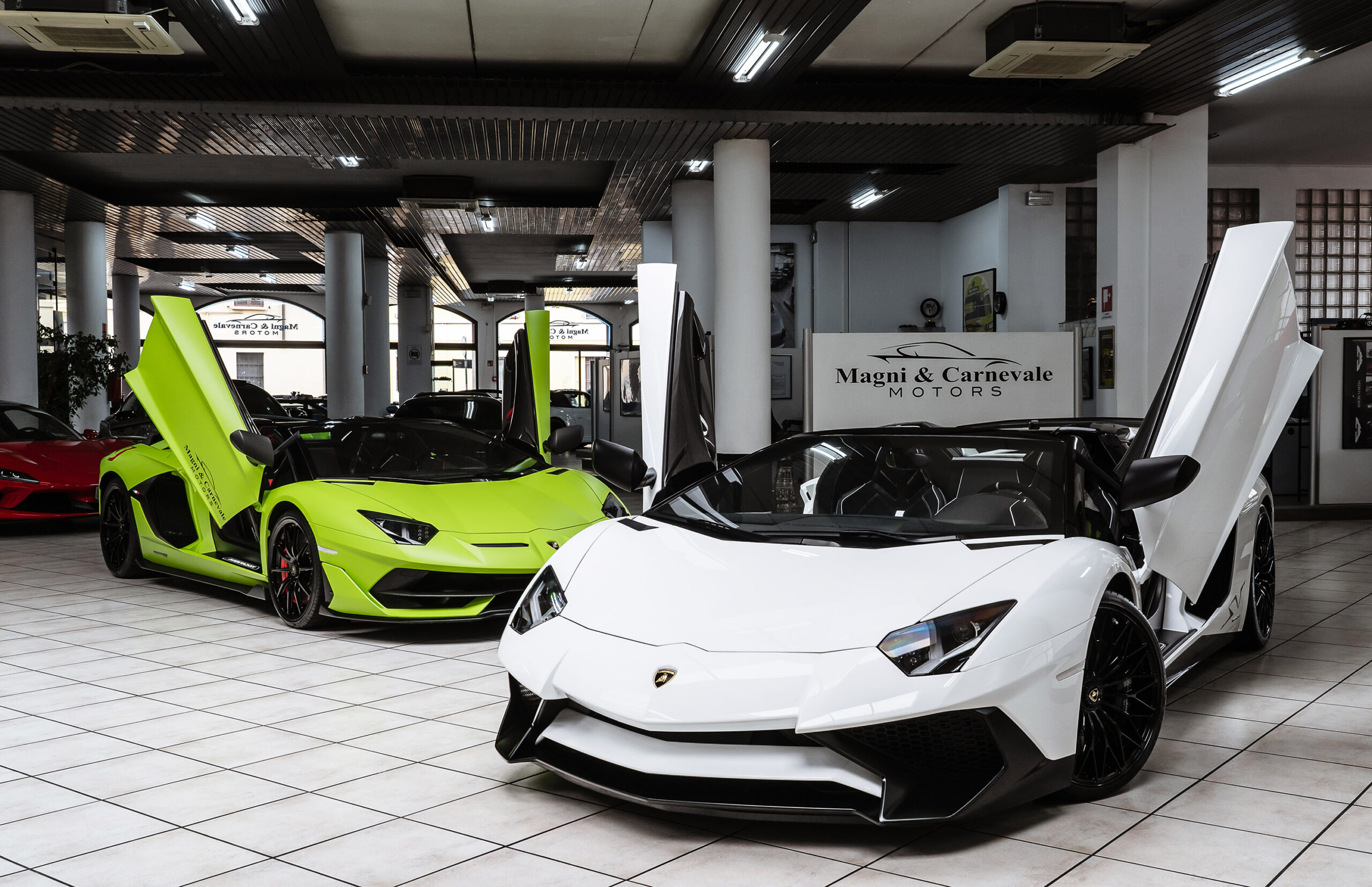 Home - Magni & Carnevale Motors